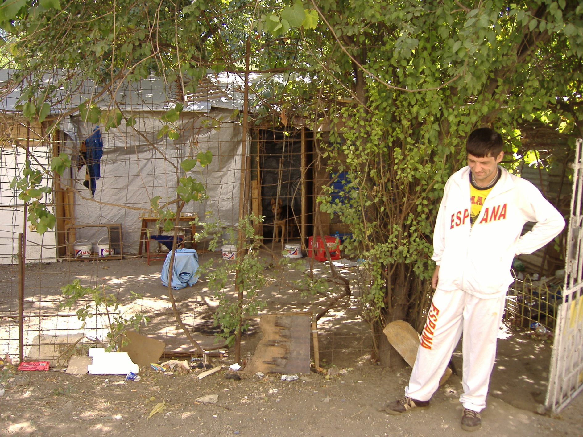 Boschetar la casa lui