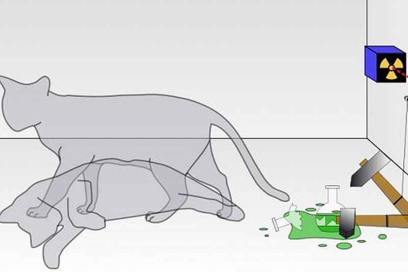 ERWIN SCHRODINGER, omagiat de Google la 126 de ani de la naștere ...