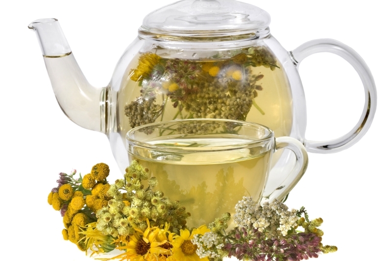 Mușețelul, planta venită din RAI care poate face minuni. Ce spun ...