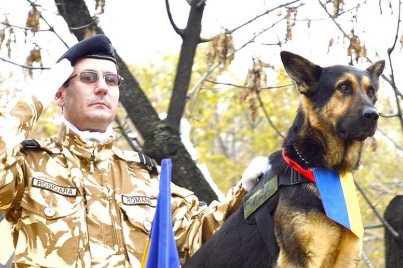 Max, câinele erou al Armatei Române, a murit la vârsta de șase ani