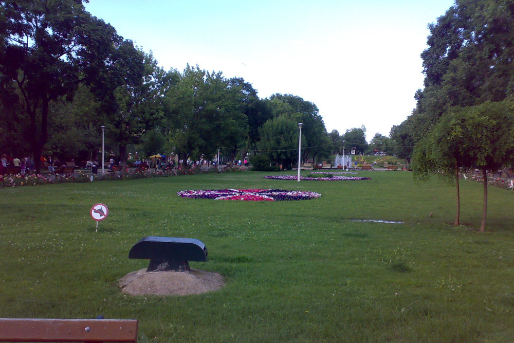 Un teren de fotbal și un parc, printre terenurile de sute de milioane ...