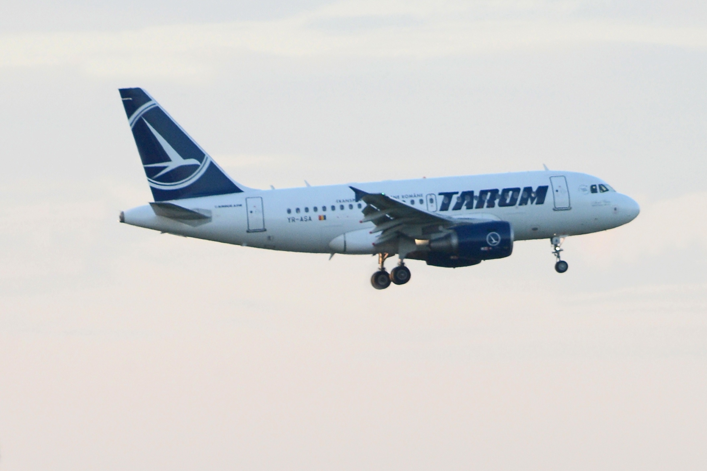 Tarom a lansat azi o nouă rută. Prețul unui bilet începe de la 20 de euro