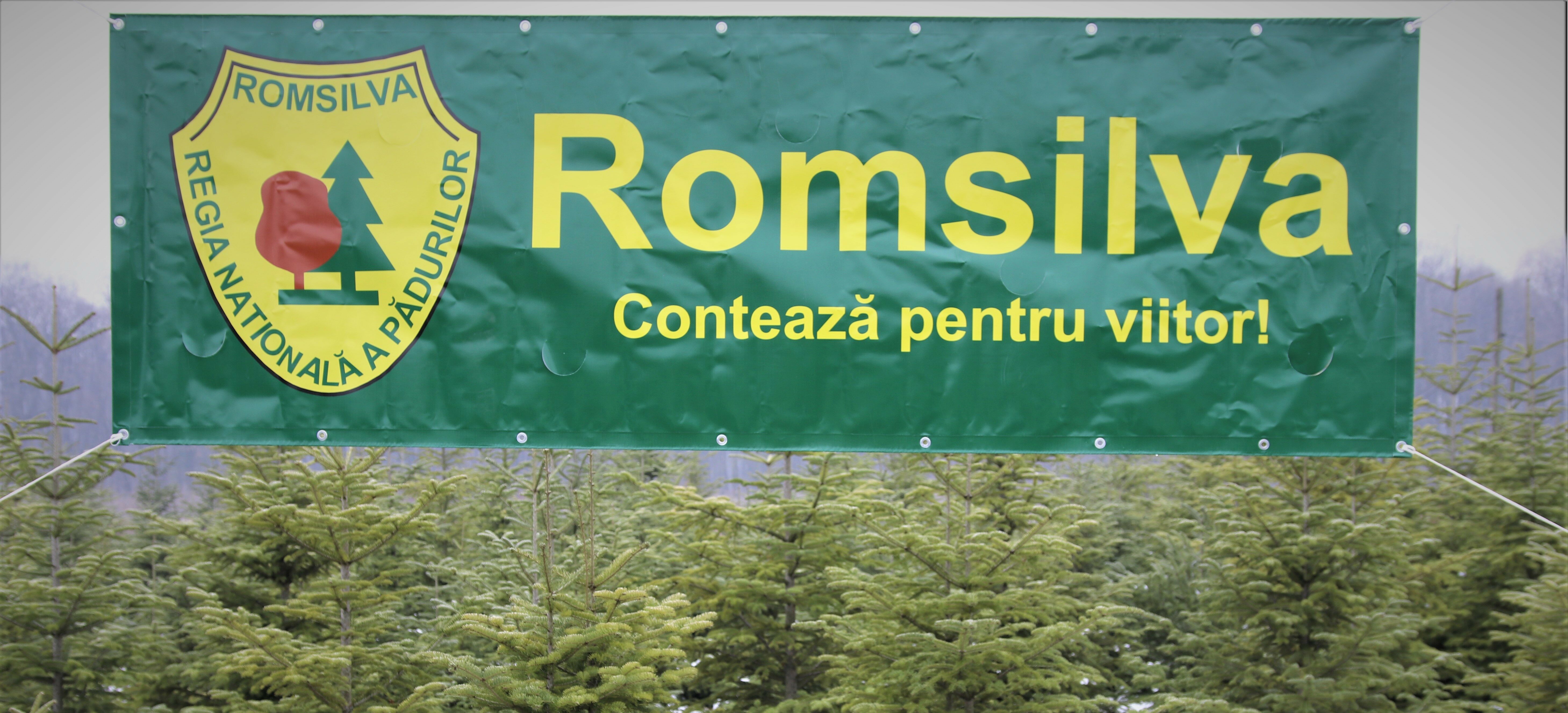 Romsilva va planta în acest an 26 de milioane de puieţi forestieri şi ...