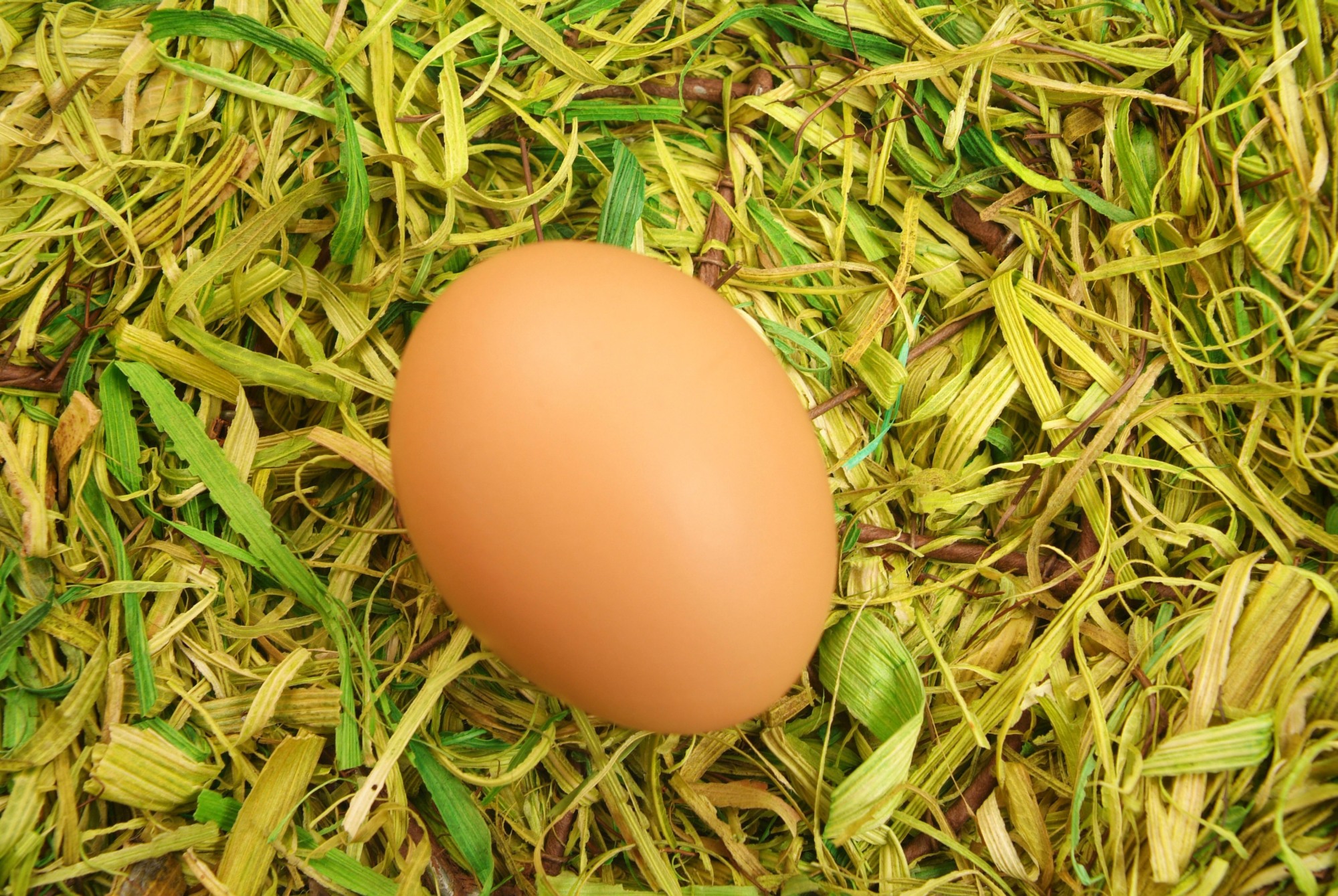 UN OU, regele Instagramului. Fotografia BANALĂ a reușit să depășească ...