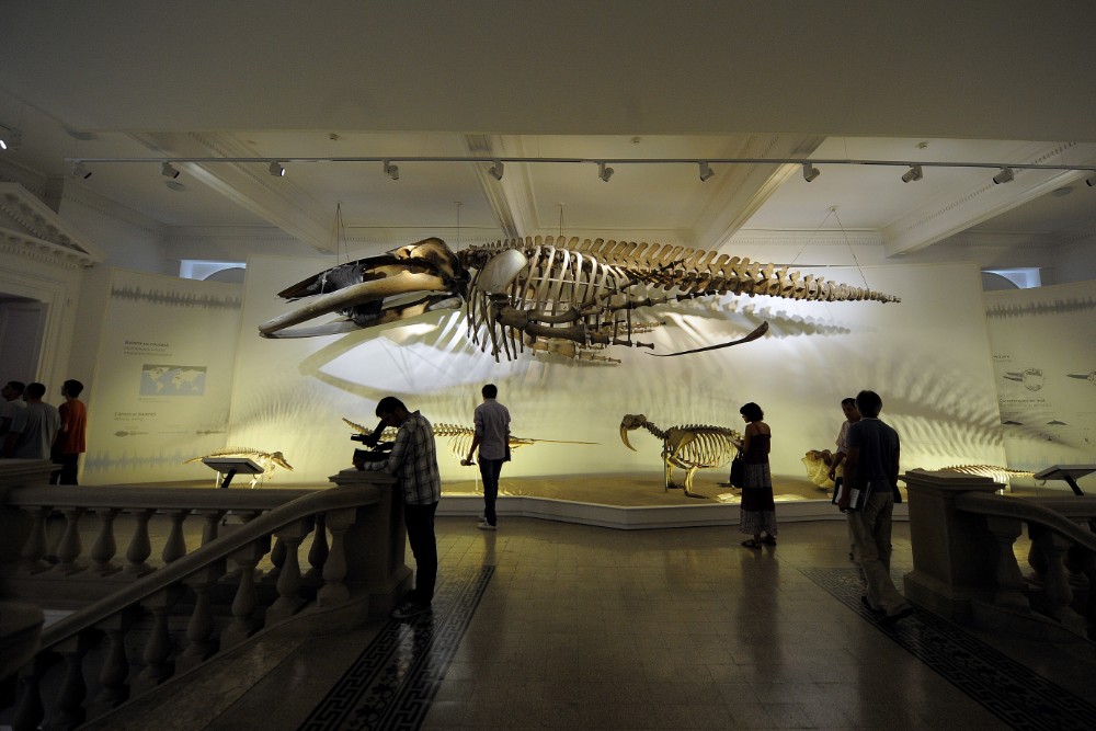 András Demeter: Teatrele, muzeele și bibliotecile vor fi închise în ...