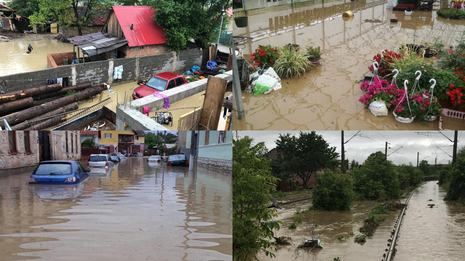 SITUAȚIE DRAMATICĂ. Ploile torențiale creează distrugeri și pierderi de ...