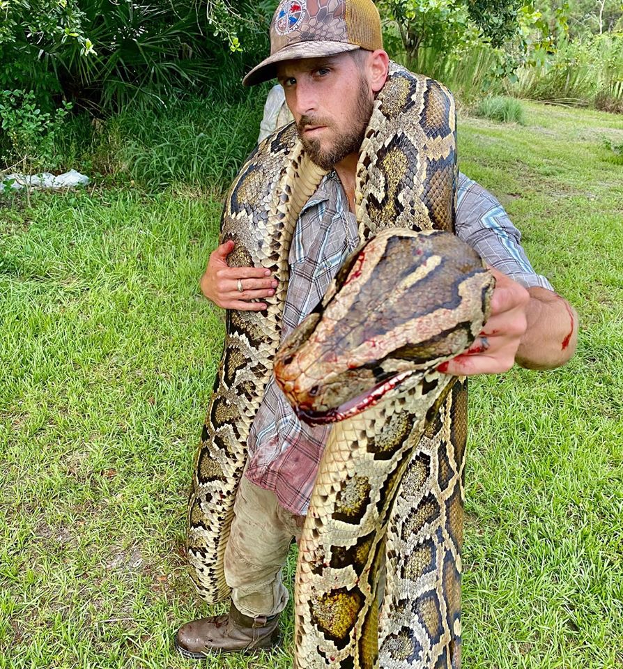 INTERNAȚIONAL. Piton de 5,18 metri, capturat în Florida. Atenție ...