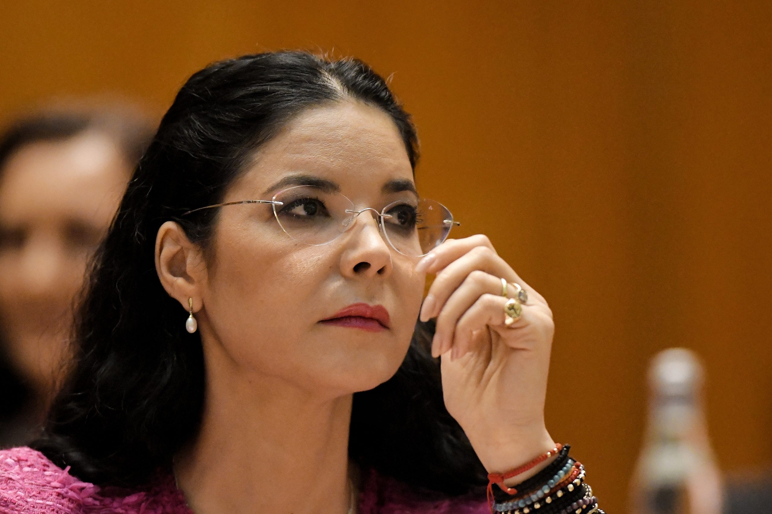 Scandalul „Ana Birchall, agent CIA?”. Fostul ministru al Justiției ...