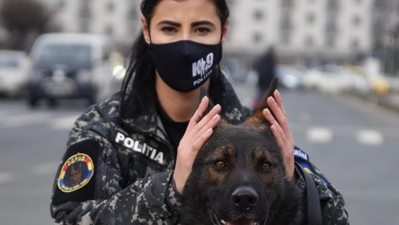 MAI, despre petarde: Pentru animale este un coșmar!