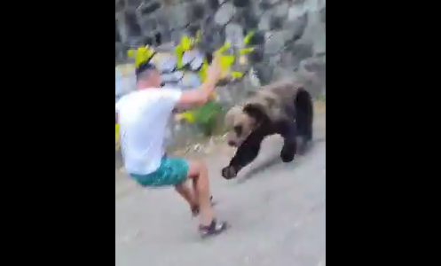 Turist atacat de un urs, în zona Barajului Vidraru. Momentul a fost filmat