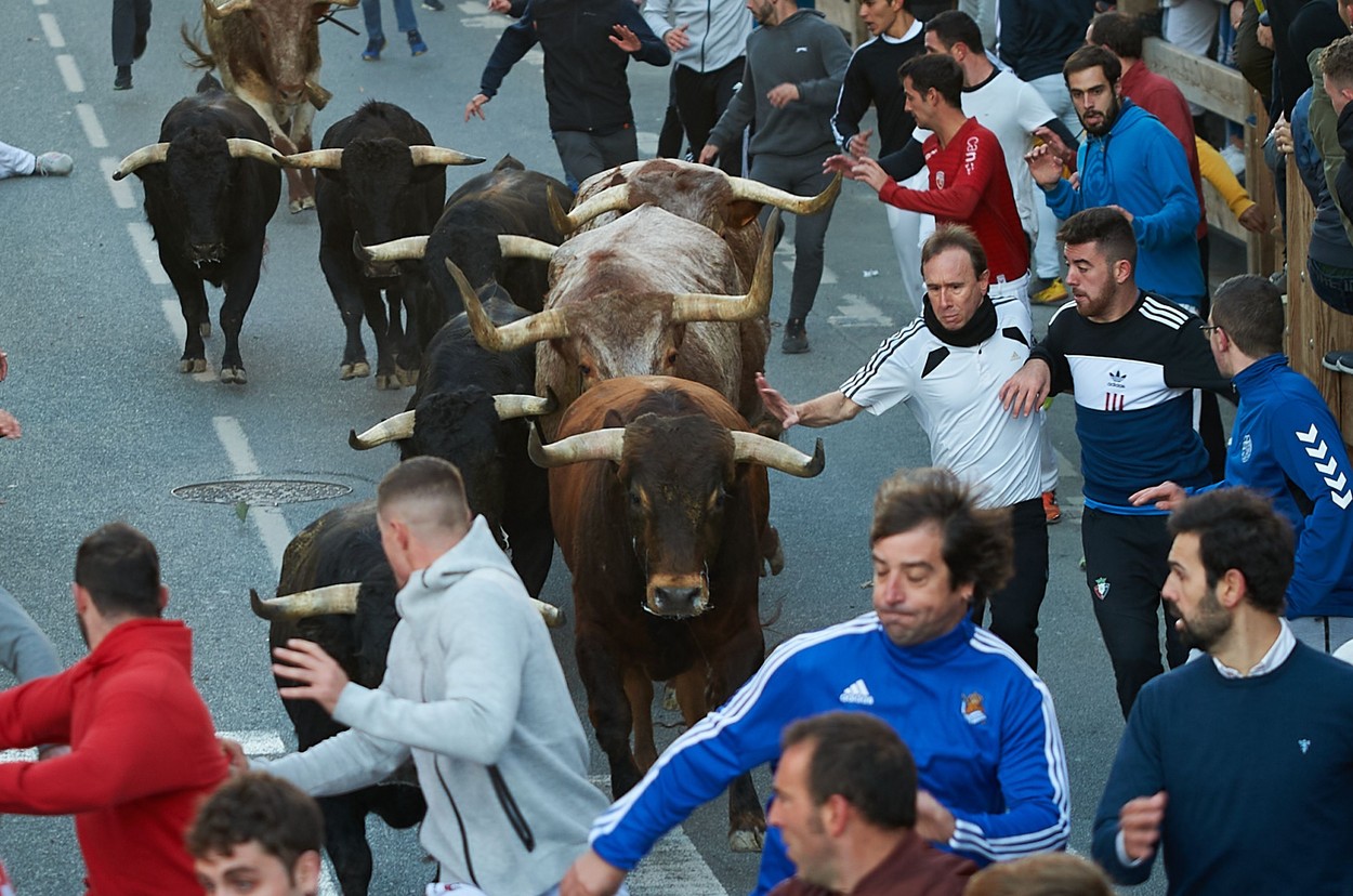 Spania: Un bărbat a fost ucis în timpul unei curse tradiționale cu tauri
