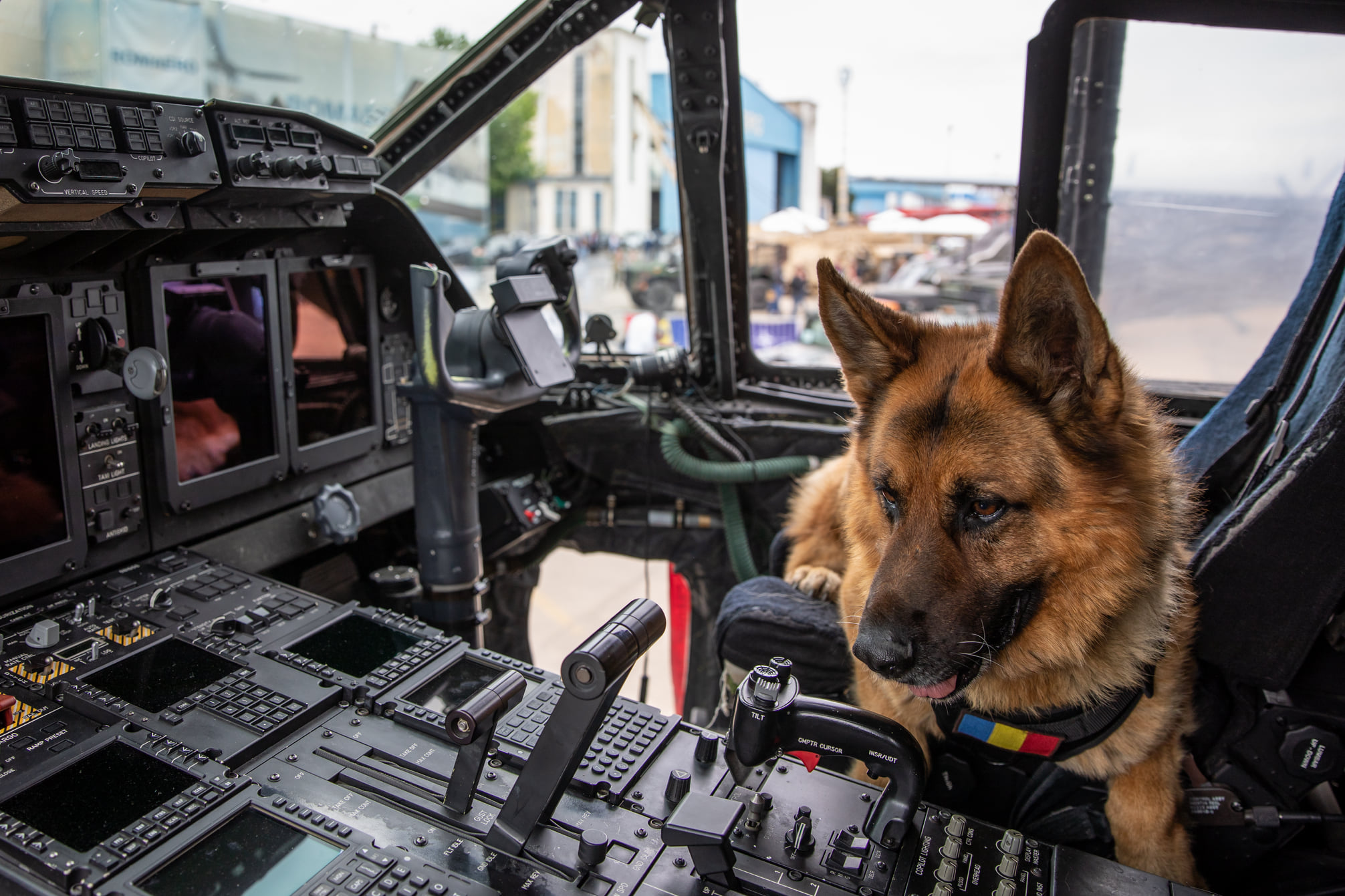 VIDEO | Tehnică militară de ultimă generație, la Romaero