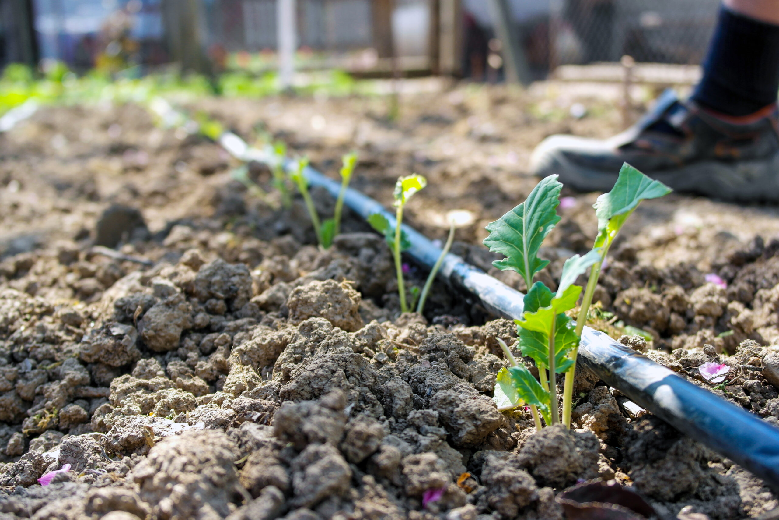 Primarul unei comune din Gorj, supărat pe cei care folosesc apa ...