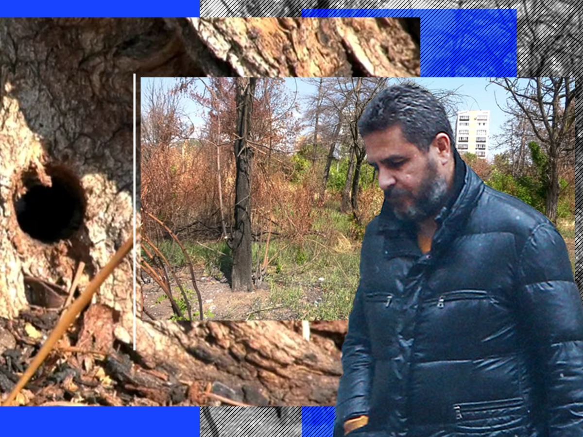 Cine este omul din spatele celor 12 hectare retrocedate din Parcul IOR ...