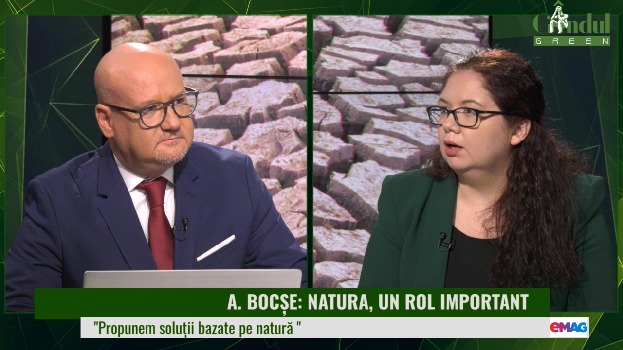 Alexandra Maria Bocșe: „Pădurile joacă un rol foarte important în ceea ...