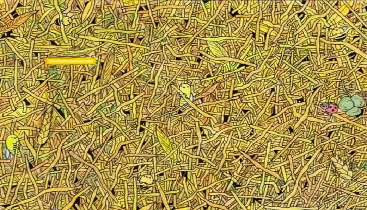 TEST IQ | Găsiți acul din carul cu fân! Geniile o fac în maximum 20 de ...