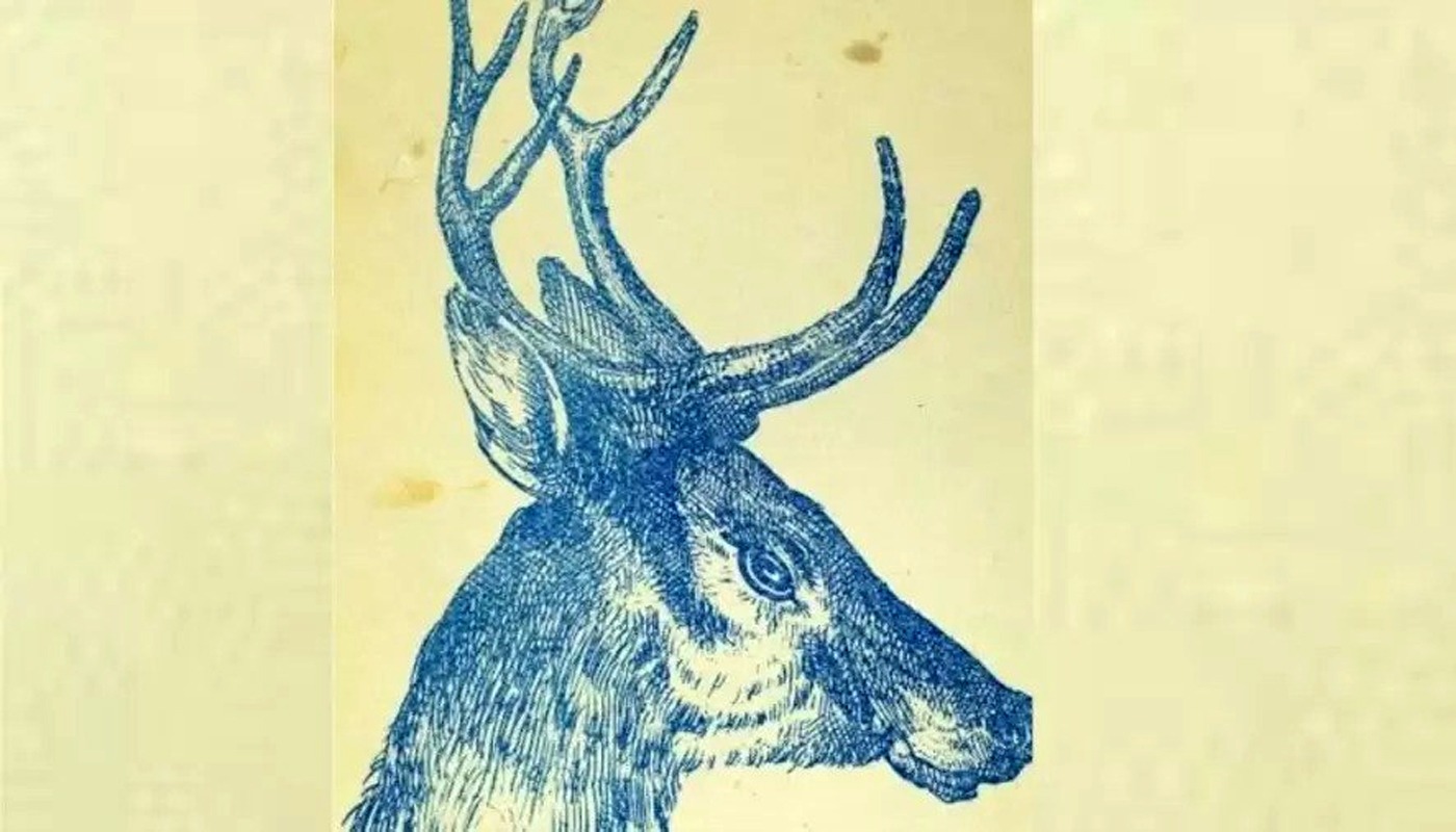 Iluzie optică virală | Ești un geniu dacă poți vedea iepurele "ascuns ...