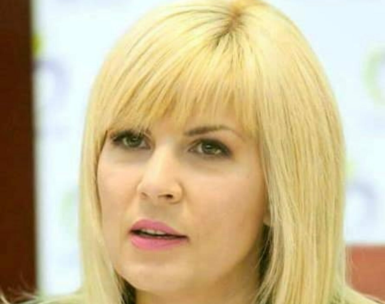 Elena Udrea ratează o nouă șansă de a ieși din închisoare. Magistrații ...