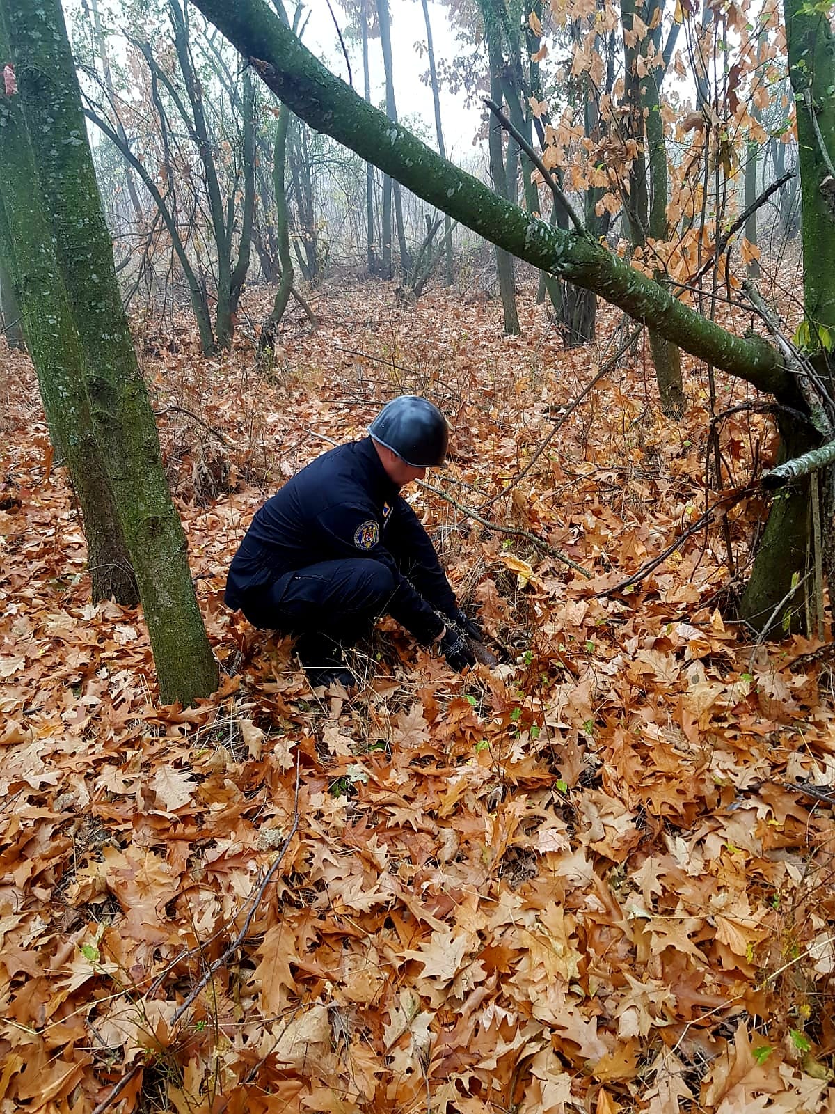 Proiectil exploziv, descoperit de un pădurar în pădurea Băneasa din ...
