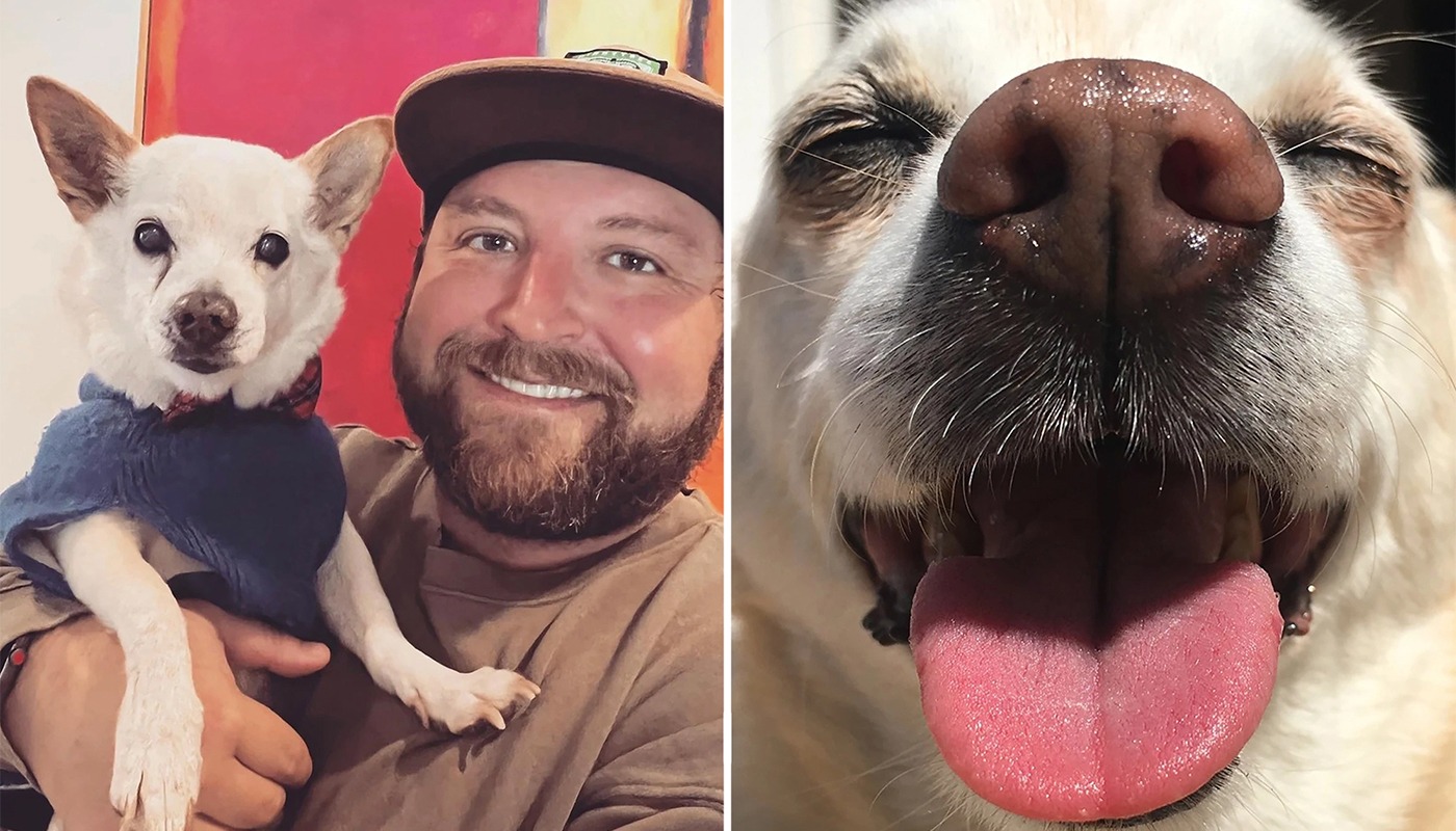 Gino a fost desemnat oficial "cel mai bătrân câine din lume". De ...