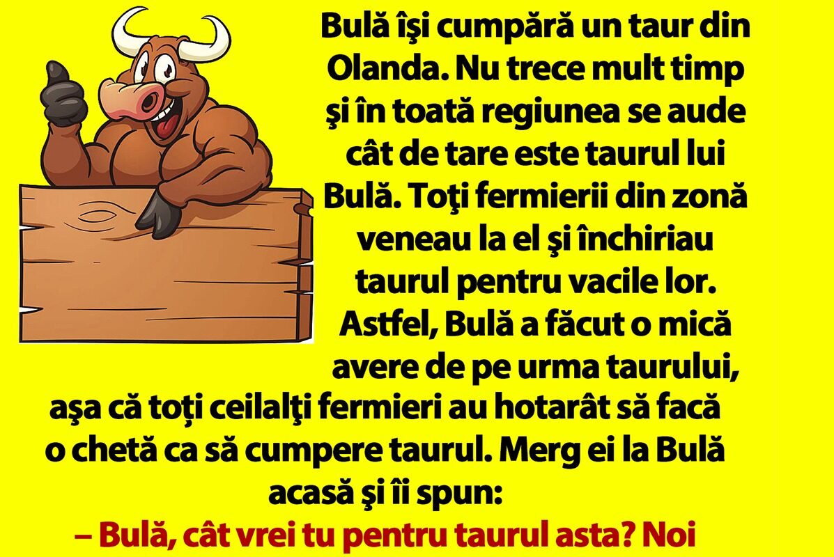 BANC | Bulă îşi cumpără un taur din Olanda