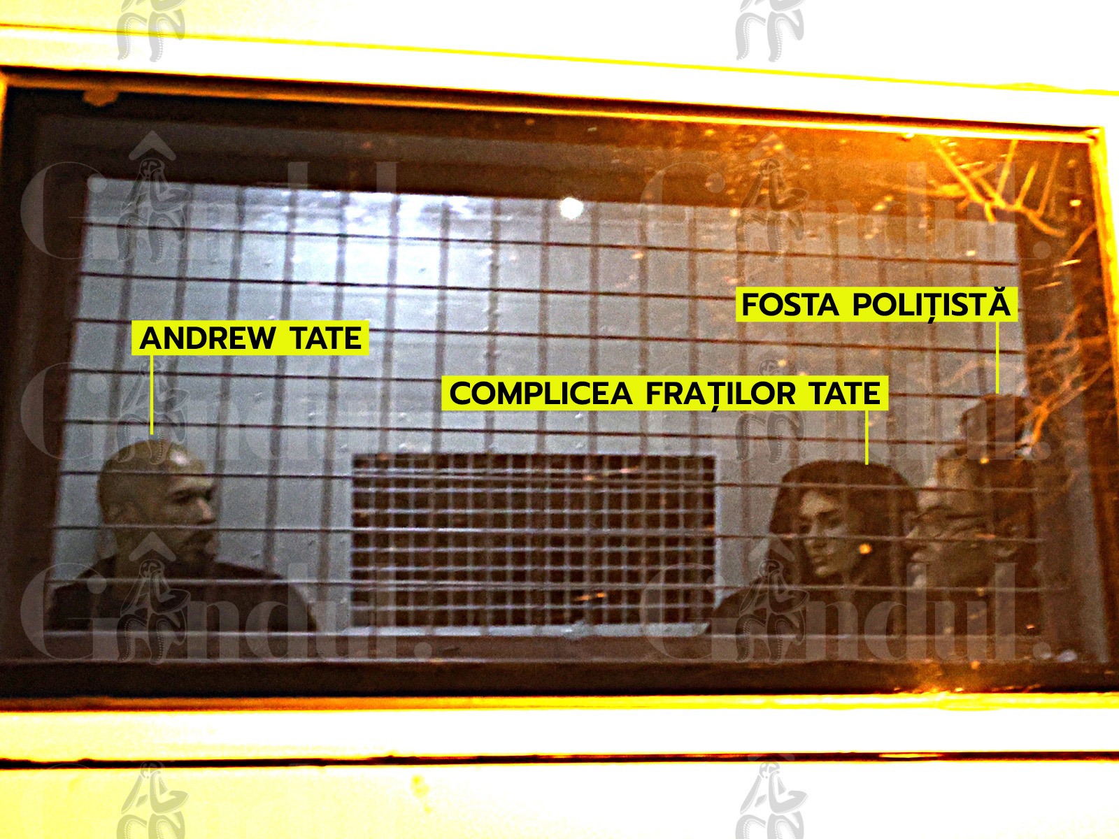 Prinderea fraților Tate, pas cu pas