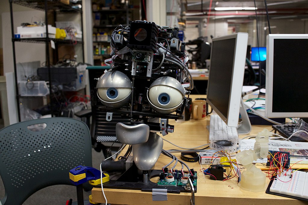 Sony, despre roboți umanoizi