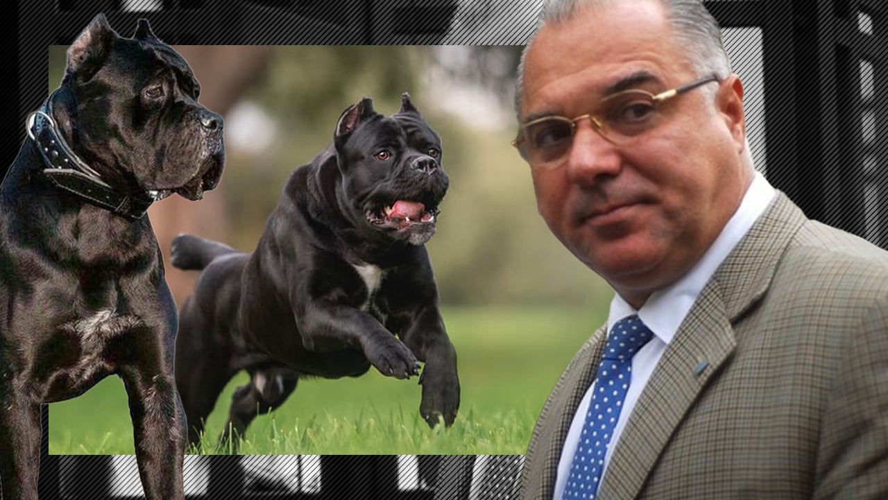 Marius Marinescu, fost senator: „Câinii Cane Corso care au atacat o ...
