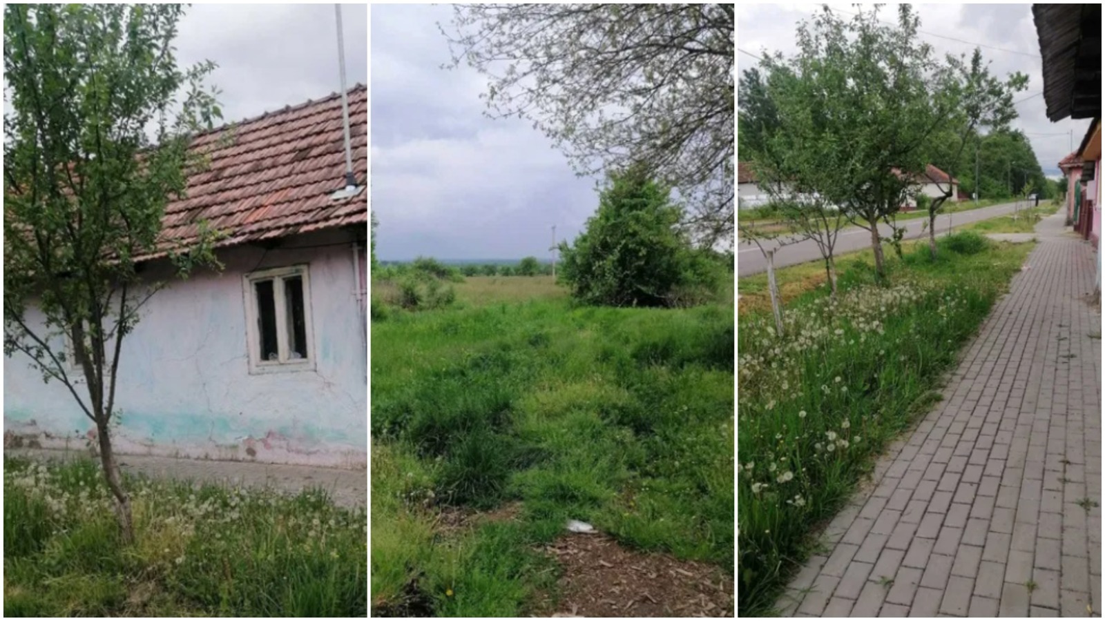 Localitatea în care poți cumpăra un teren de 1.300 mp cu doar 5.000 euro