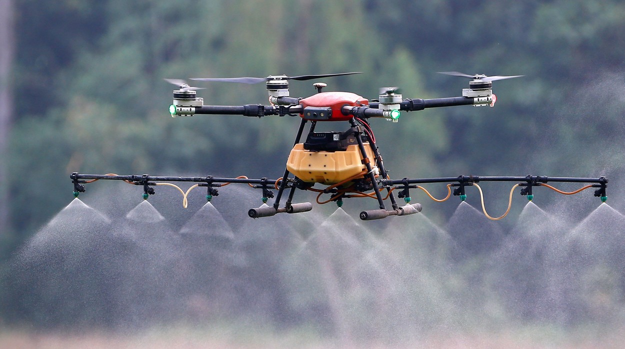 Pesticidele și agricultura intensivă | Un bine în rău sau un rău în bine?