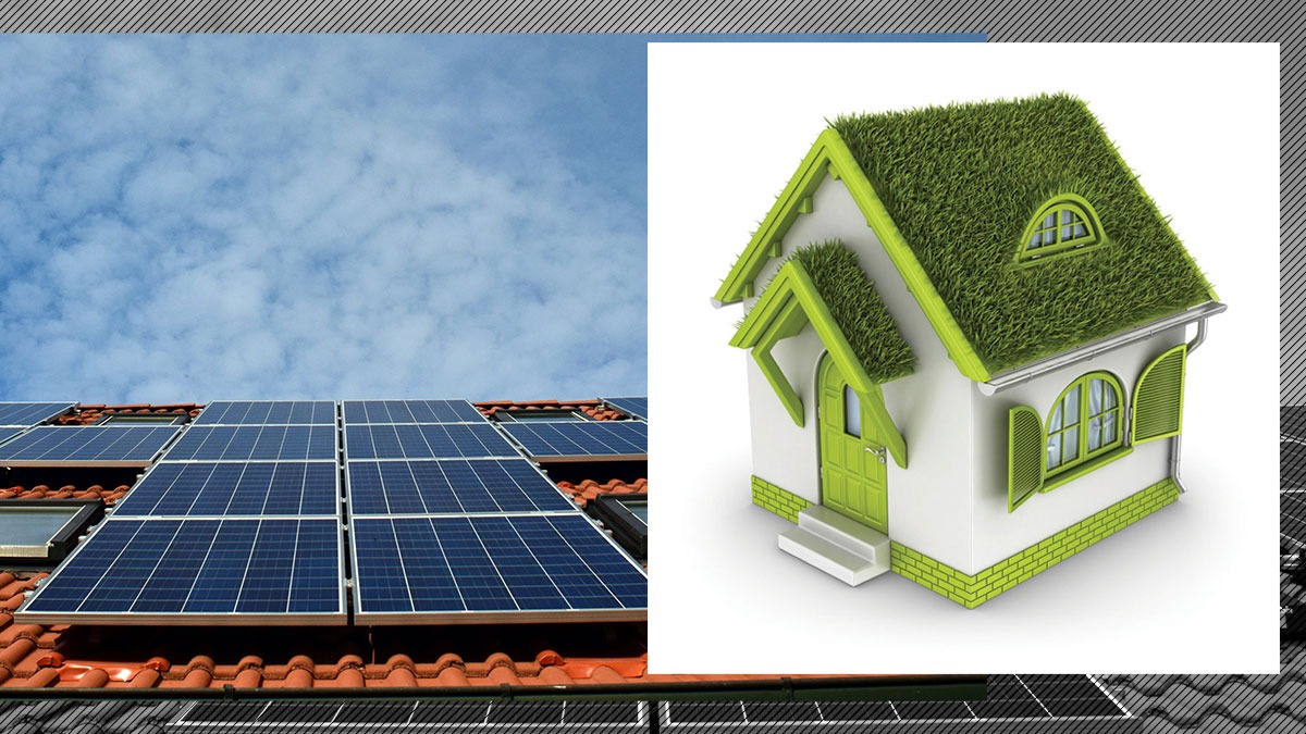 Ce trebuie să faci pentru a primi 20.000 de lei de la statul român ...