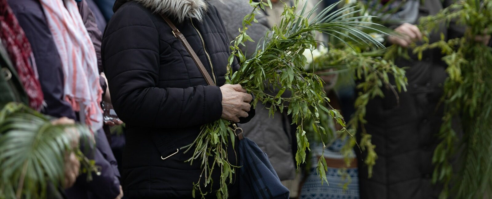 MESAJE de Florii. Cele mai frumoase urări care ar putea fi trimise ...