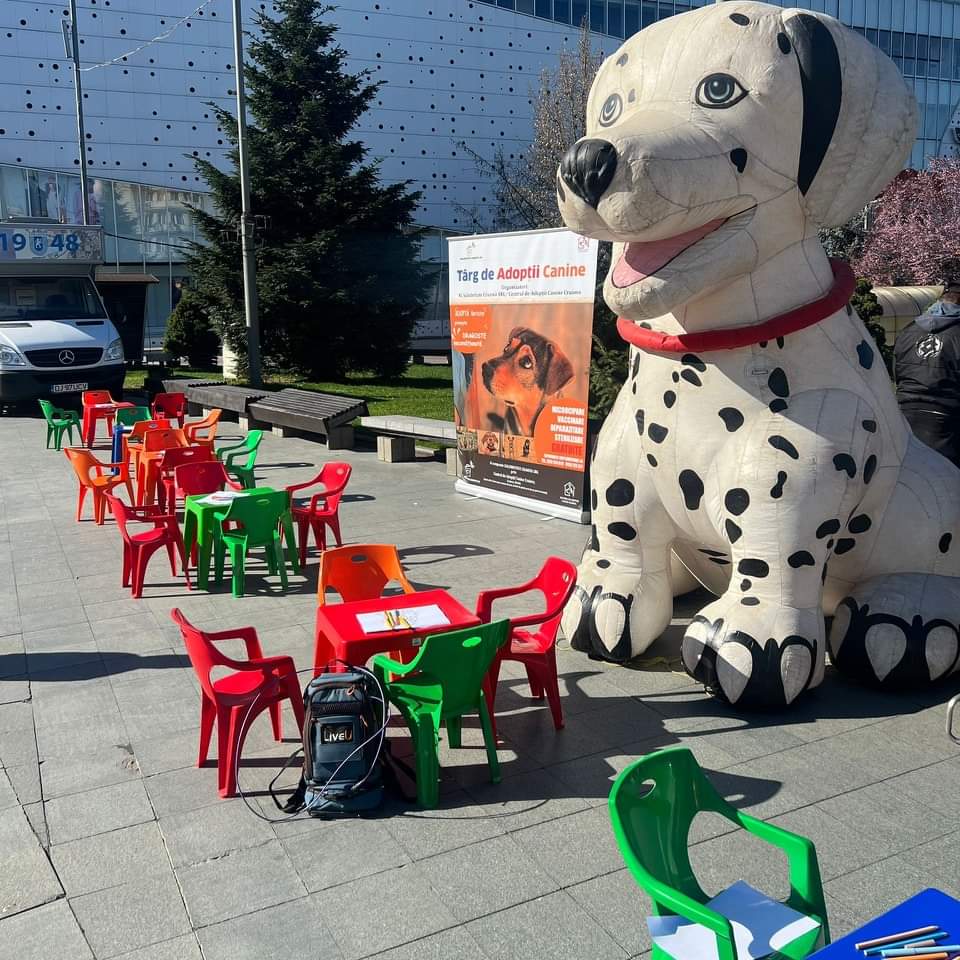 FOTO: Târg de adopții în centrul Craiovei. 140 de căței își caută un stăpân