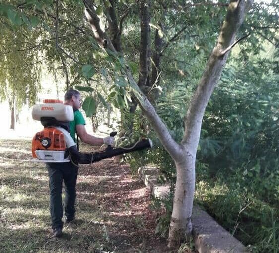 Începe lupta cu țânțarii în parcurile din Capitală. În ce interval orar ...