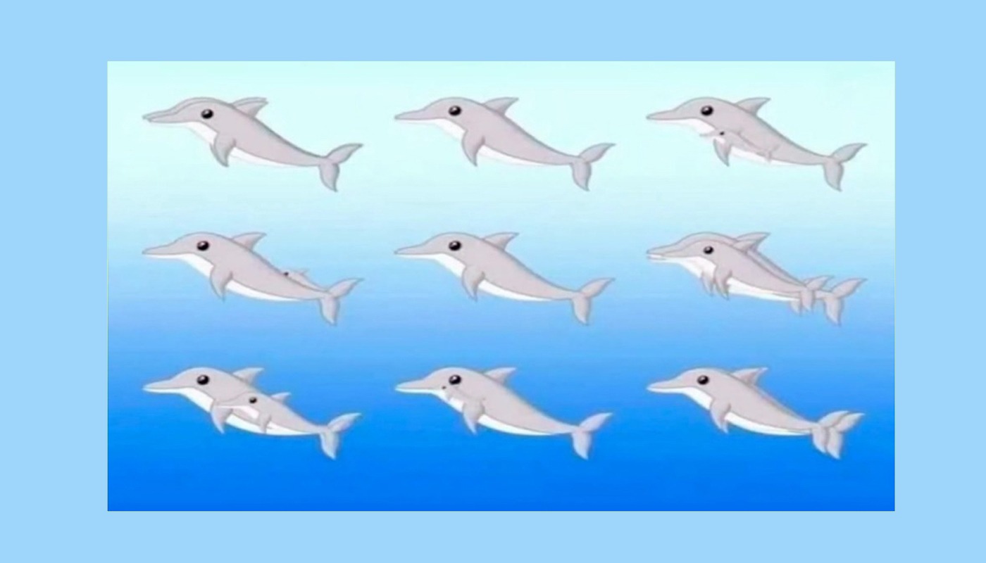 Iluzie optică virală | Câți delfini sunt în această poză, în total?