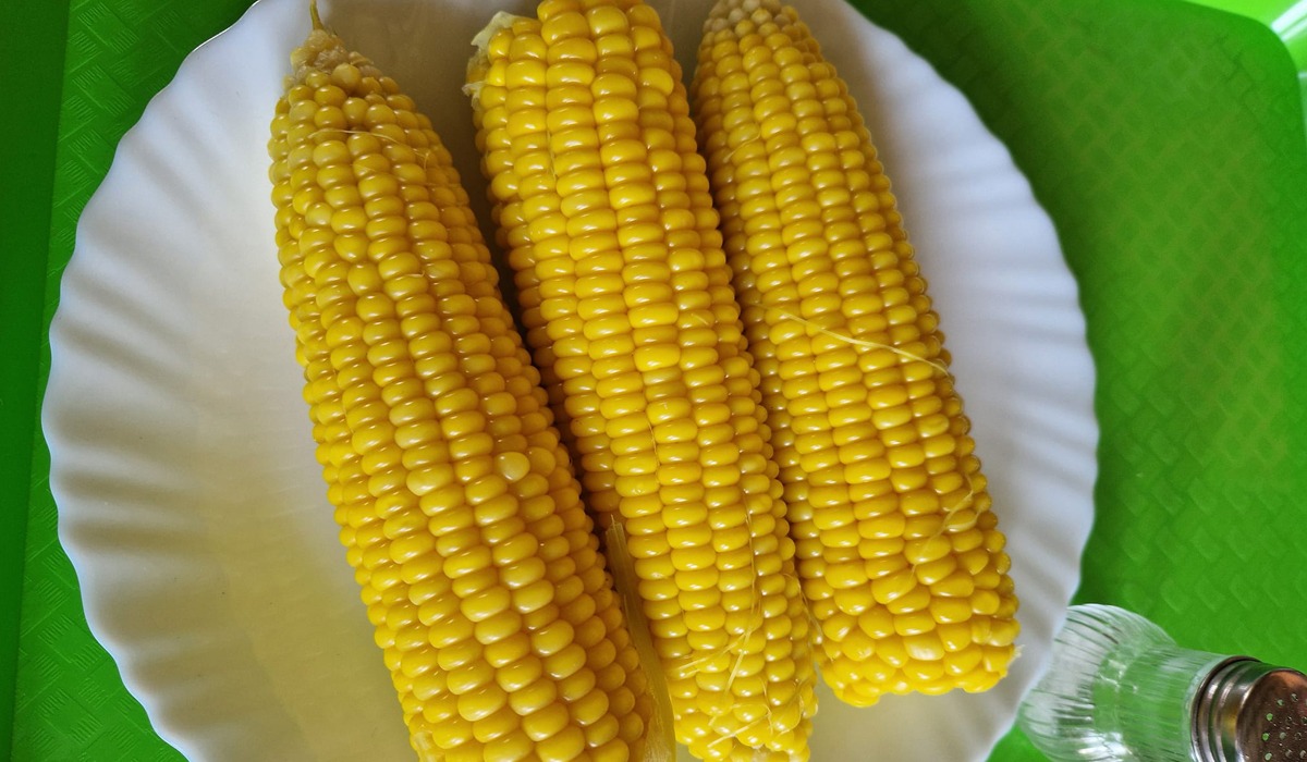 Cu câți lei se vinde PORUMBUL fiert acum, în 2023, la mare