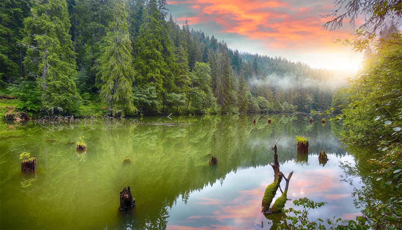 Locul de poveste din România cu cel mai pur aer din țara noastră ...