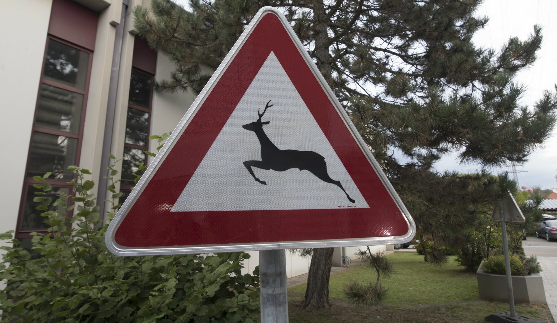 Consiliul Judeţean Bihor, bun de PLATĂ în cazul unui avocat care a ...
