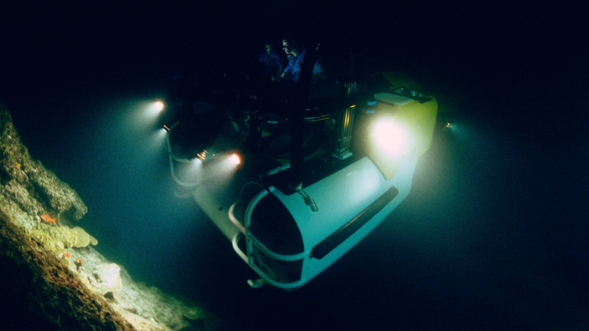 Patru ouă negre au ieșit la suprafață din inima întunecată a oceanului ...