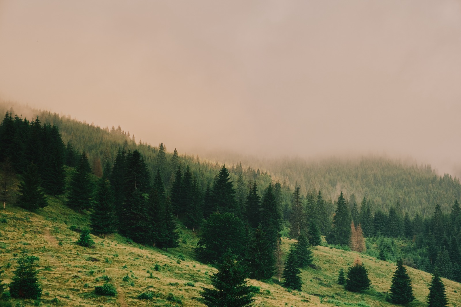 Apele minerale de la Bilbor fac minuni pentru cei care au probleme cu ...