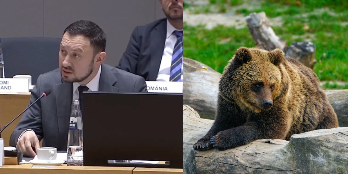 Liberarul Mircea Fechet a solicitat la Consiliul de Mediu de la ...