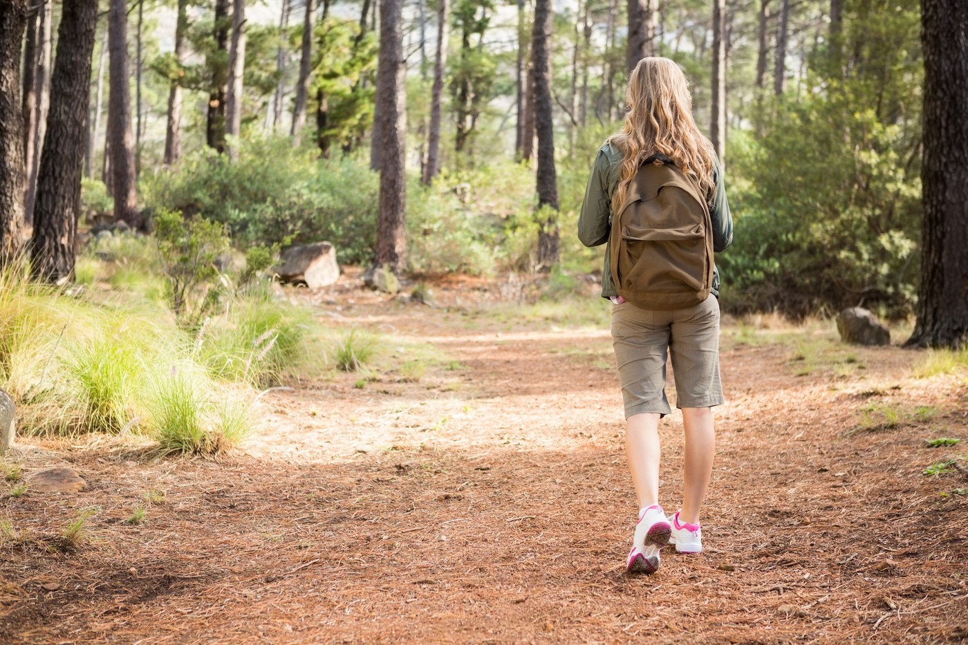 Cum ajungi pe Poteca Regală din Sinaia. Traseu către Stâna Regală