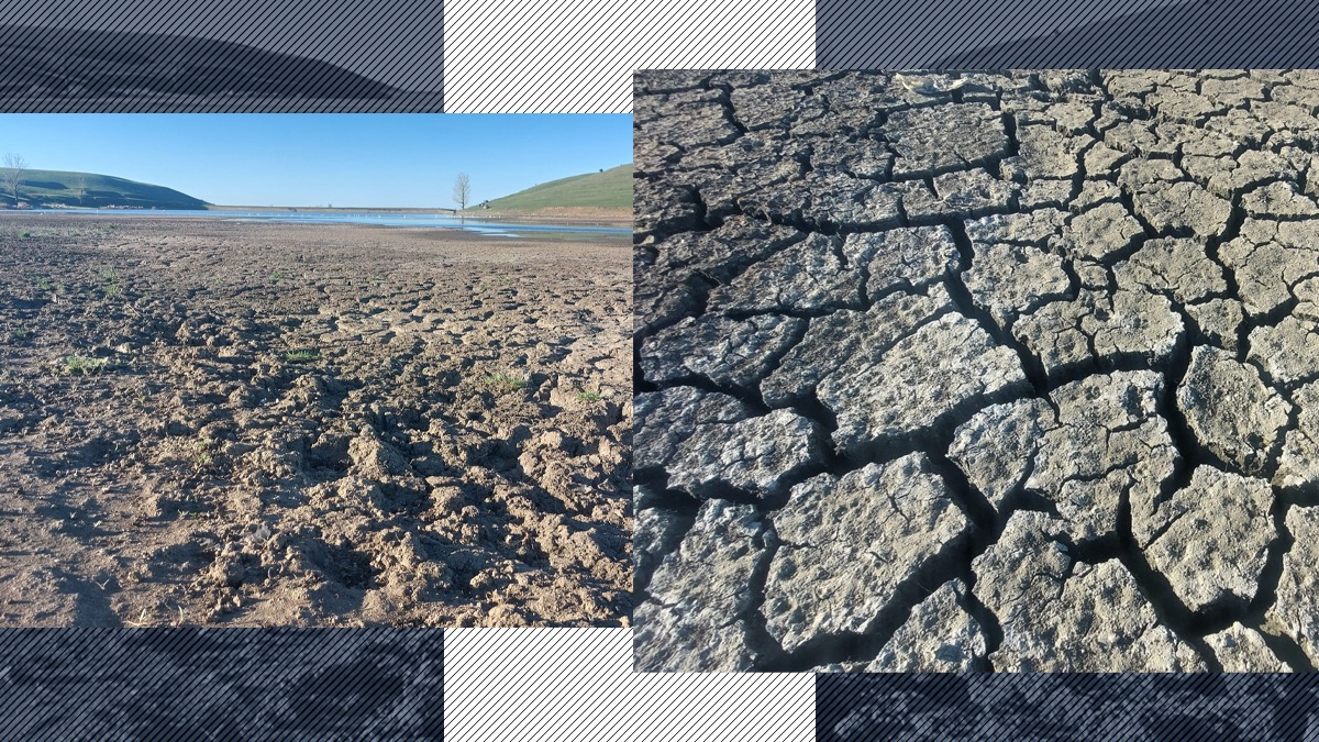 Director ANM: Acest an agricol va fi unul dintre cei mai secetoși din ...