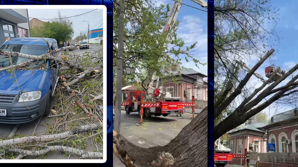 Vântul a făcut ravagii în București: Mai mulți copaci au căzut peste mașini