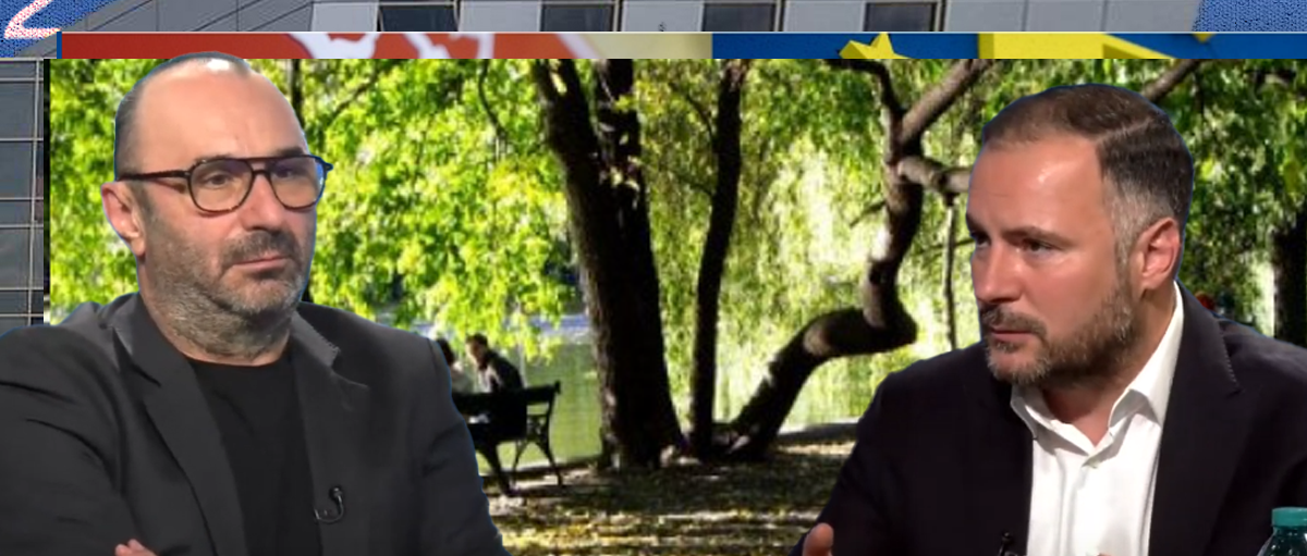Rareş Hopincă, despre necesitatea unor spații VERZI noi în Sectorul 2 ...