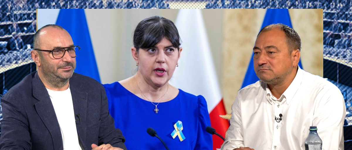 SCENARIILE alegerilor prezidențiale / Mirel Palada: “Dacă Laura Codruța ...