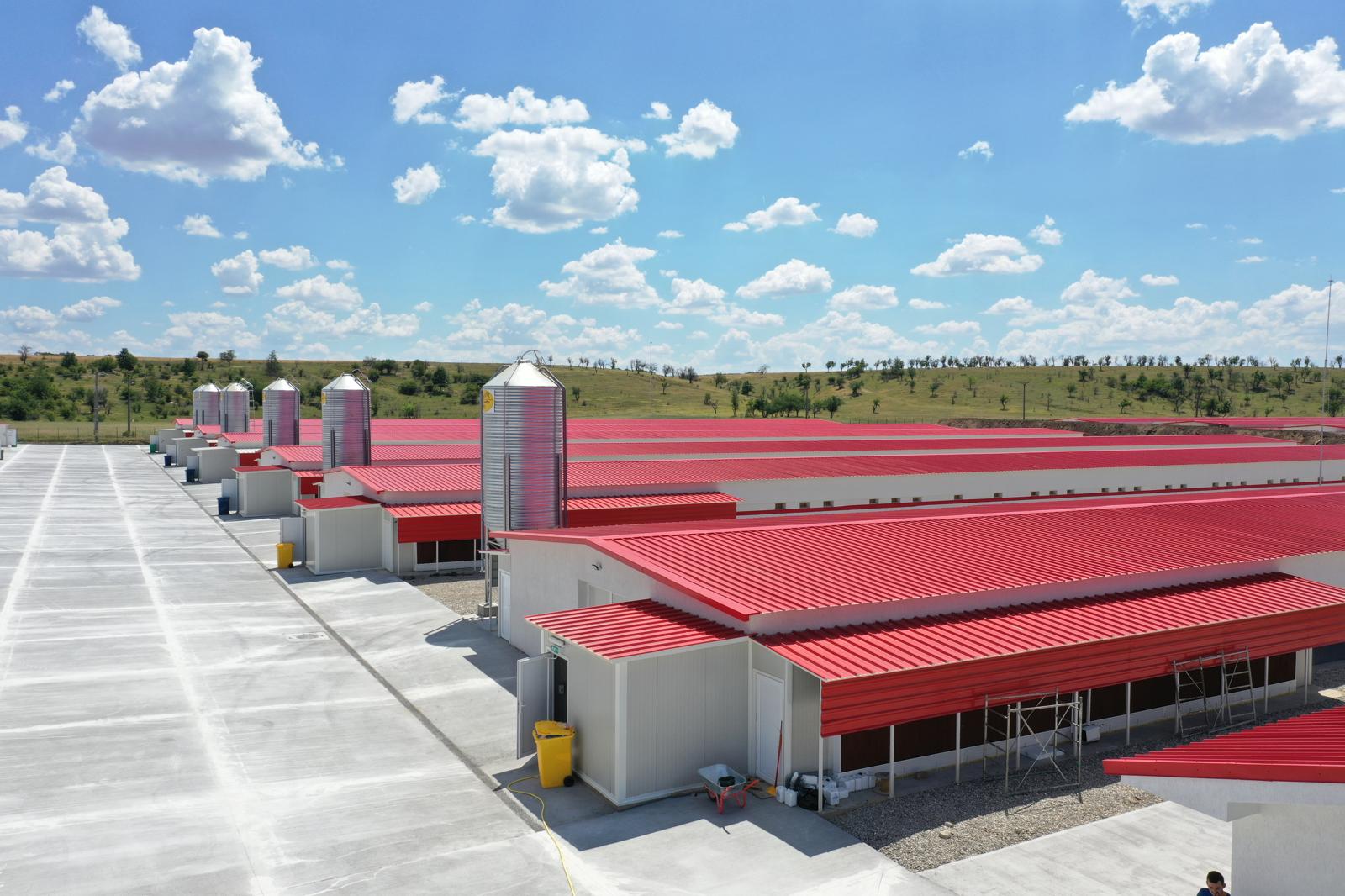 Carmistin a investit 10 milioane euro la Scornicești, într-o fermă de ...