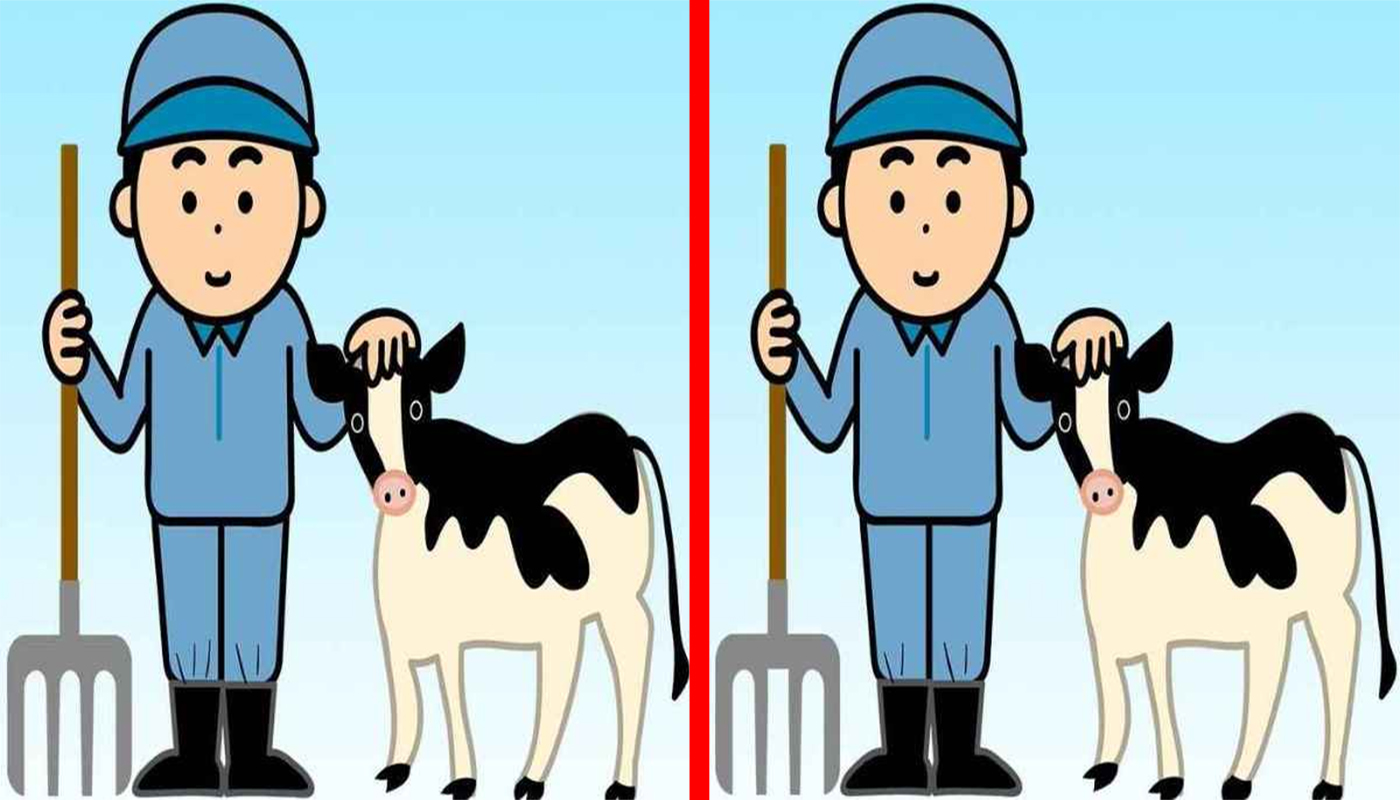 Test de inteligență | Aceste două poze par identice, dar nu sunt ...