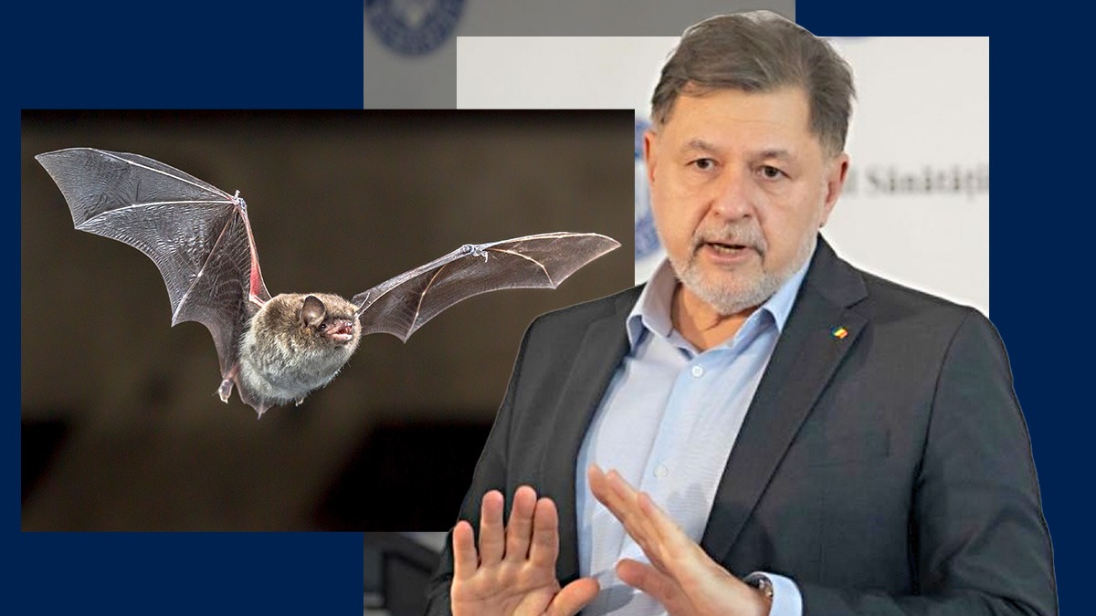 Invazie de LILIECI la Spitalul Sf. Spiridon / Alexandru Rafila: Unul ...