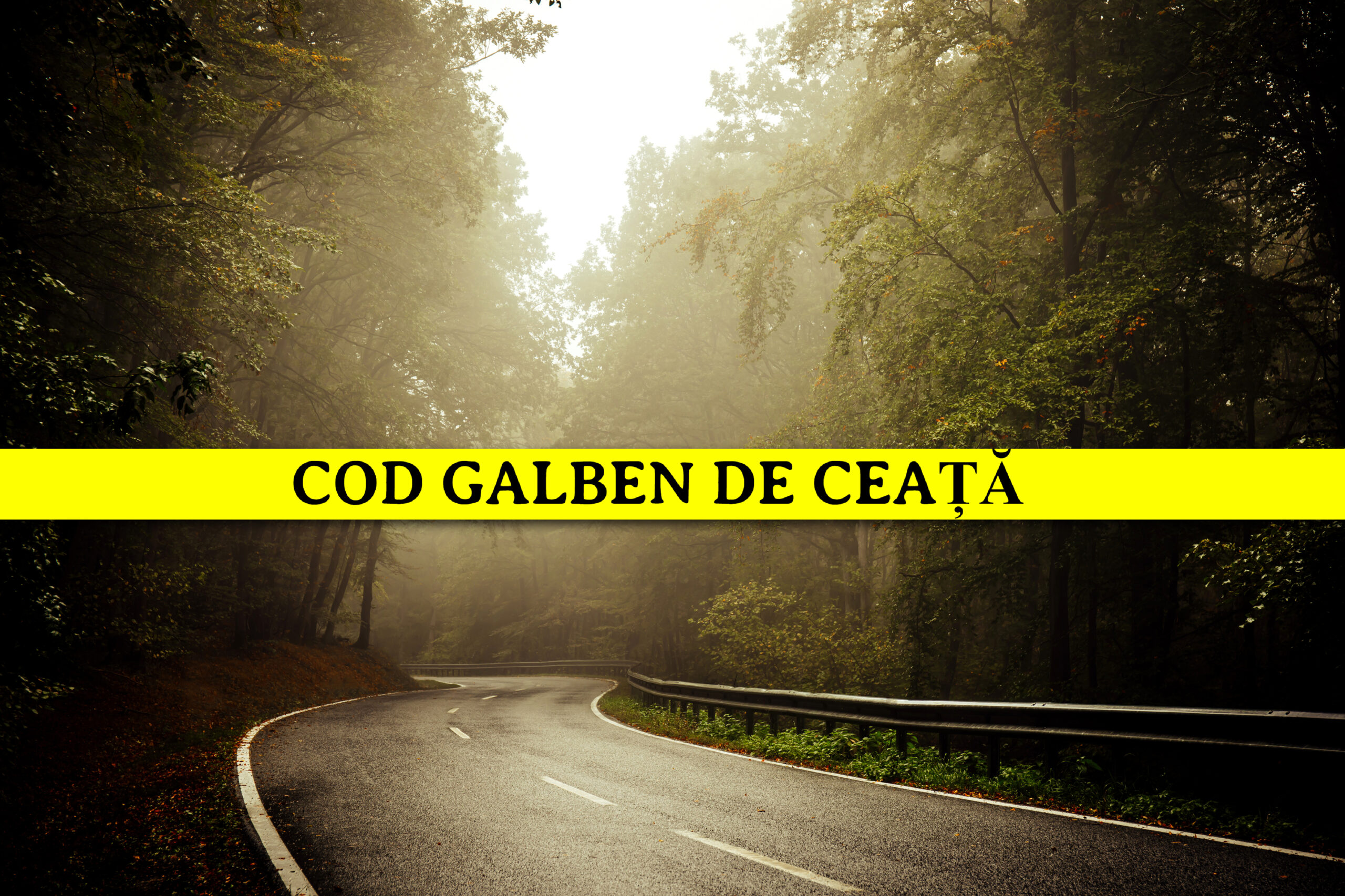 Atenționare ANM: cod galben de ceață în 14 județe din România